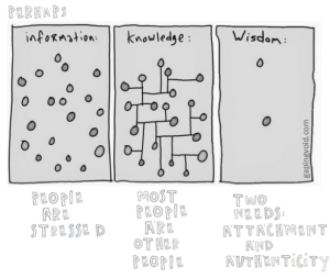 knowledge vs wisdom | be you.