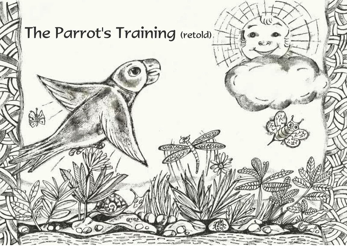 parrot’s training | be you.
